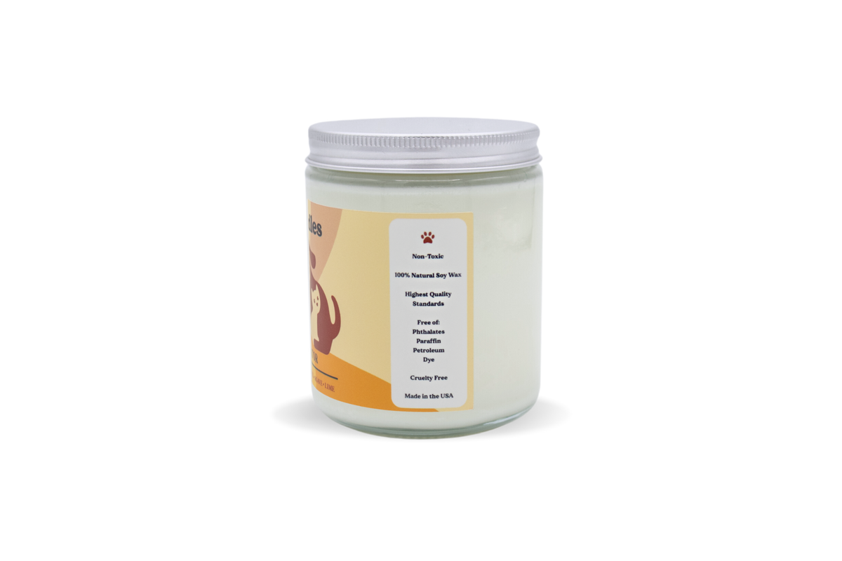 Hello Sunshine Pet Odor Eliminator Candle – Garsnett Beacon Candle Co.